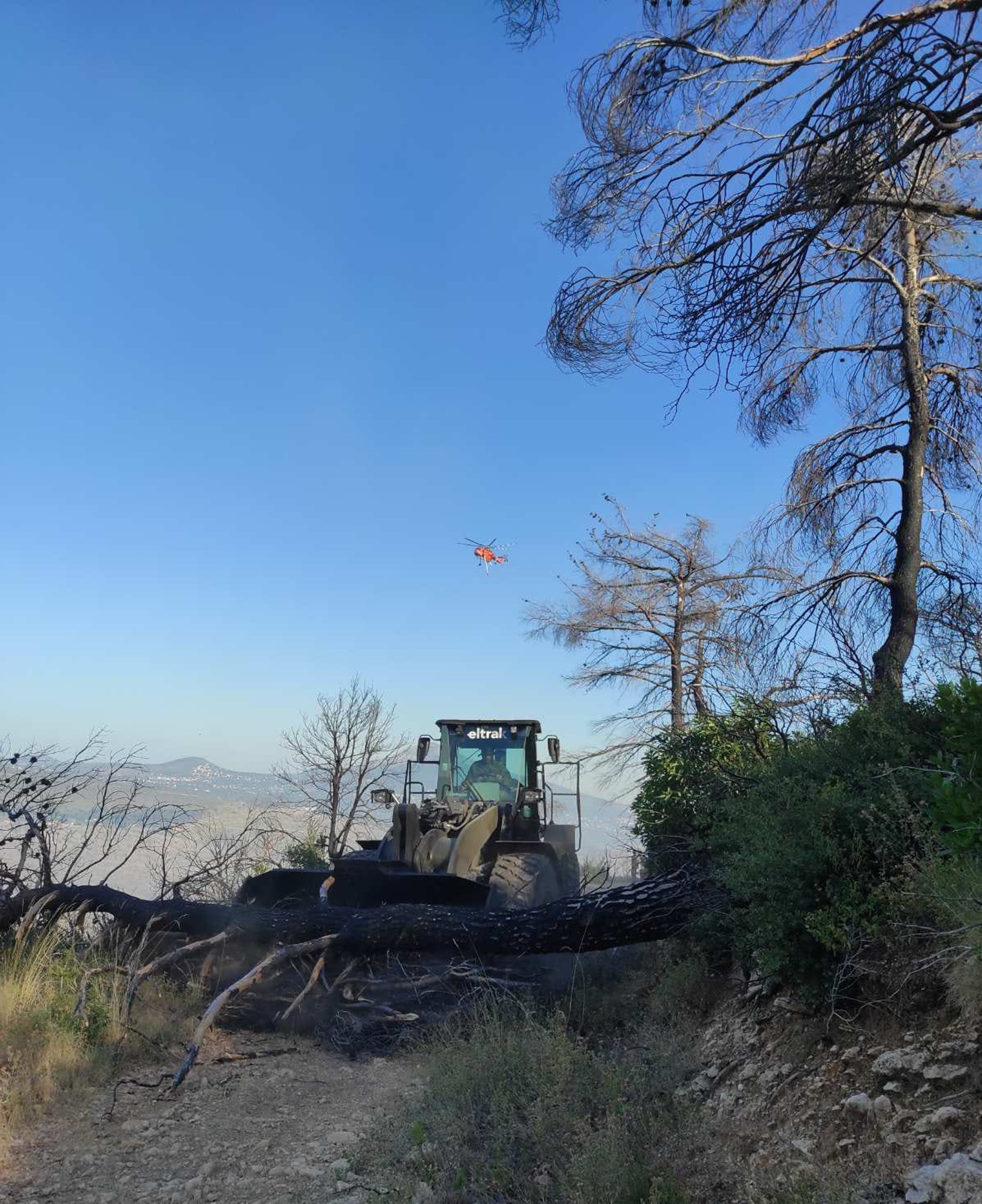 Φωτιές: Εκκένωση οικισμού στη Χίο και μήνυμα από το 112 – Καλύτερη εικόνα σε Δίστομο και Ζάκυνθο ...