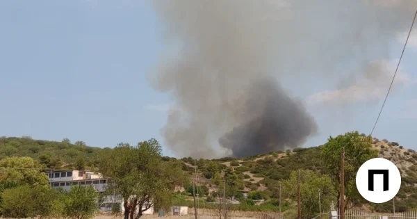 Φωτιά στο Συκάμινο Ωρωπού - Εστάλη μήνυμα από το 112, σηκώθηκαν και εναέρια - PATRIS.GR