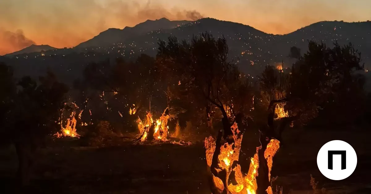 Νέα αναζωπύρωση της πυρκαγιάς στο Ρέθυμνο - Ήχησε και πάλι το 112 - PATRIS.GR