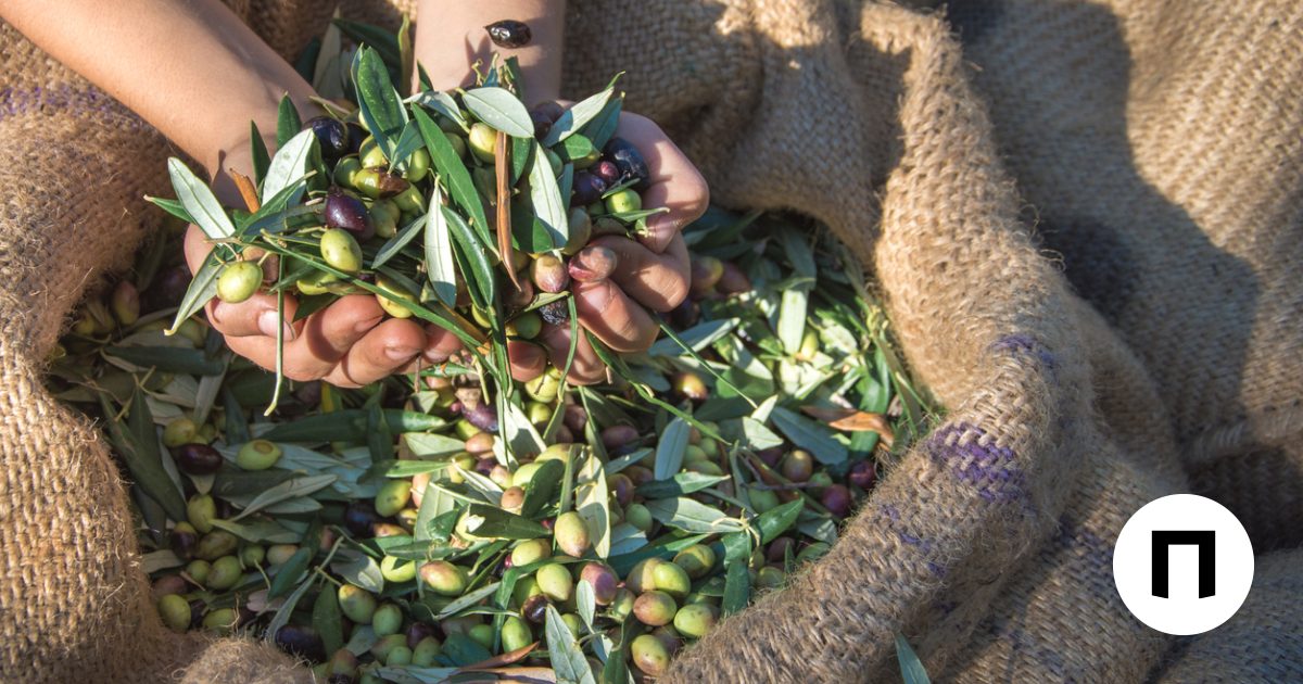 «Αν δεν βρέξει τους επόμενους μήνες θα πούμε το λάδι λαδάκι» - Τι λένε ...