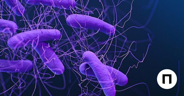 Ερευνητές ανέπτυξαν το πρώτο mRNA εμβόλιο για ένα εξαιρετικά μεταδοτικό ...