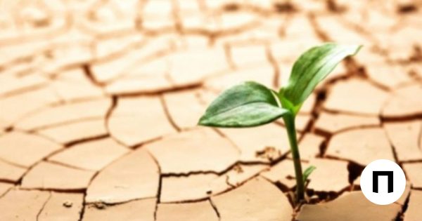 Χθες… σήμερα αύριο 26/11/2024 - PATRIS.GR