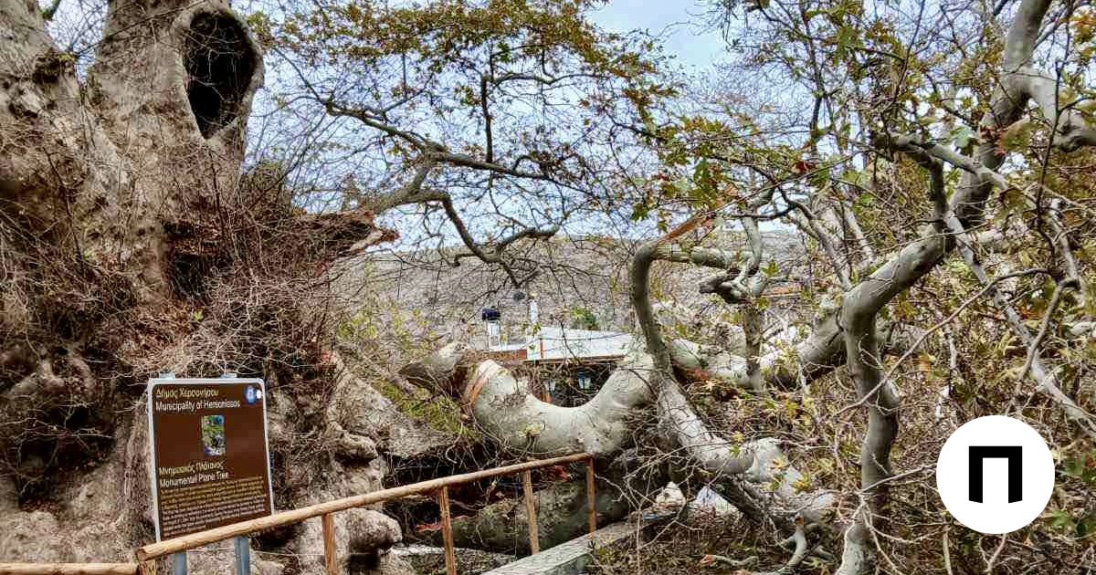 Χθες… σήμερα… αύριο 10/12/2024 - PATRIS.GR