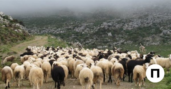 Χθες σήμερα αύριο 21/5/2025 - PATRIS.GR
