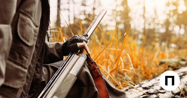 Ανοίγει η κυνηγετική περίοδος στις 20 Αυγούστου – Ποια είδη ...